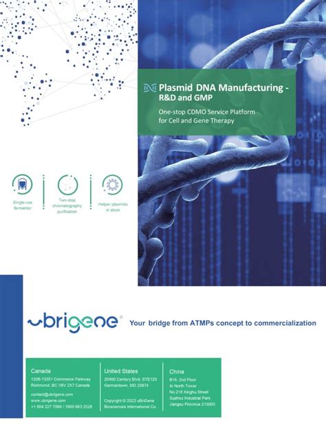 Gmp Lentivirus Packaging Plasmids Ubrigene