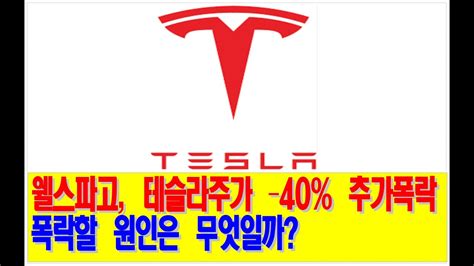 웰스파고 테슬라주가 40 추가폭락 예상 원인은 무엇일까 Youtube