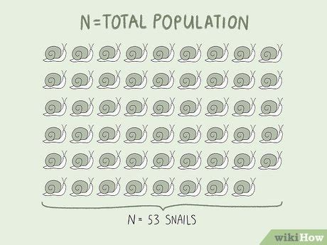 3 Ways To Do Random Sampling WikiHow Life