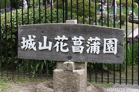 岩国・城山花菖蒲園と吉香花菖蒲園の花菖蒲 2008iwakuni Shiroyama Iris Garden Kikko Iris