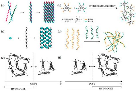 Research Progress In Enzymatically Cross Linked Hydrogels As Injectable Systems For Bioprinting