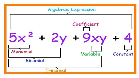 Identify The Terms Coefficients And Constants In Each Expression 6th Grade Quiz Wayground
