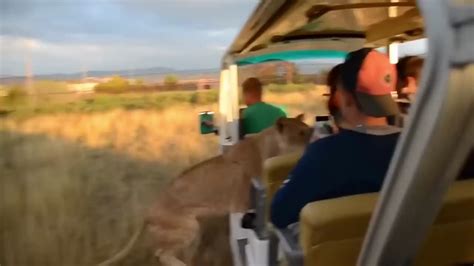 Jm Jairaj On Linkedin Your Life Cycle Of Linkedin Brilliantly Captured