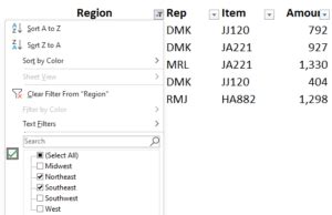 How To Filter In Excel Excel University