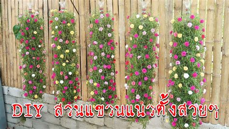 คลิป Diy สวนแขวนแนวตั้งสวยๆ ปลูกคุณนายตื่นสาย สำหรับพื้นที่ขนาดเล็ก วีดีโอ เกษตร วีดีโอ