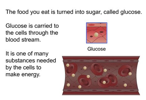 Diabetes Introduction
