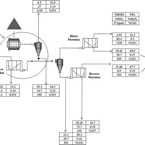 flowchart with mass balance and contents of standard and alternative