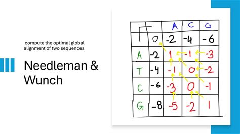 Needleman Wunsch Algorithm Global Sequence Alignment With Example
