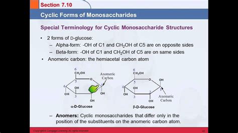 3b 7 10 Cyclic Forms Of Monosaccharides Youtube