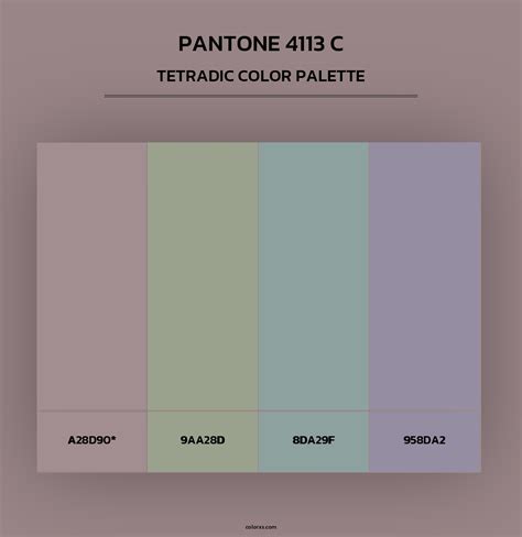 Pantone 4113 C Color Palettes