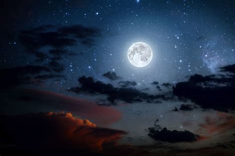 Night Quiz Doquizzes