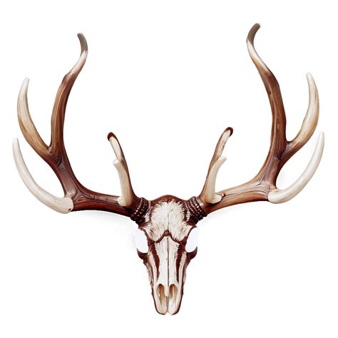 Download Rustic Antler Design Png Cpd