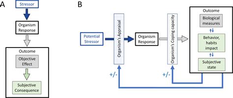 Human Brain Resilience A Call To Action Pmc