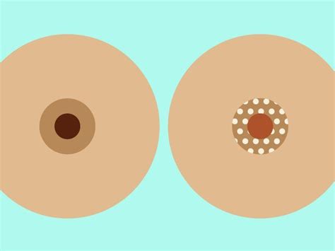 Nipples Growing Hard