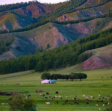 Монгол орон минь Цонжийн чулуу Дорноговь аймгийн Дэлгэрэх сумын нутагт Цонжийн чулуу хэмээх