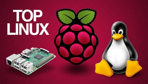 Cu L Es El Mejor Linux Para Raspberry Pi Kas