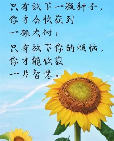 生活哲理句 生活感悟文案 256中文
