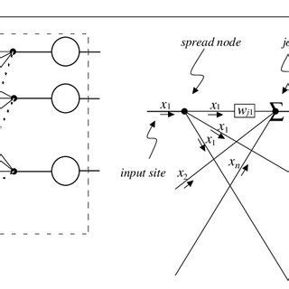 The Feed Forward Layer Structure And Activation The Right Part Of The Download Scientific