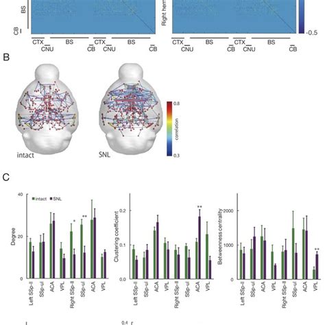 Visualization And Graph Theory Analysis Of Brain Networks In The Download Scientific Diagram
