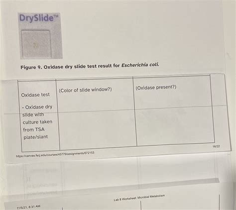 Solved Dryslide Figure 9 Oxidase Dry Slide Test Result For