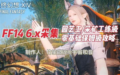FF14 6 x版本 双采集职业从零练级超详细攻略 天穹街云冠群岛 老主顾 一只小TiAo蛙 一只小TiAo蛙 哔哩哔哩视频
