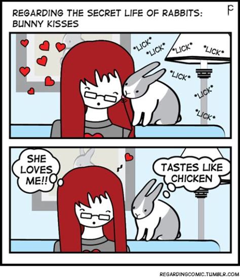 REGARDING THE SECRET LIFE OF RABBITS Komik