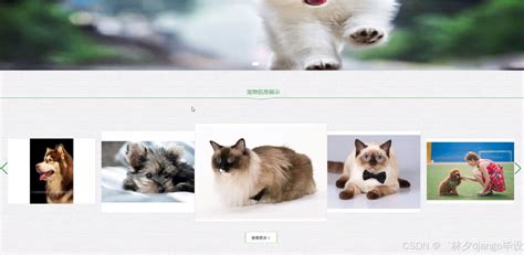 Python毕设宠物托管系统程序论文 Csdn博客