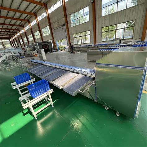 Fruit Weight Sorting Machine Pear Lemon Apple Automatic Weighing And