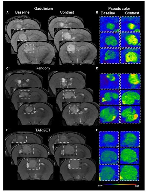 肿瘤特异性成像，最新cell子刊！ Medscicn