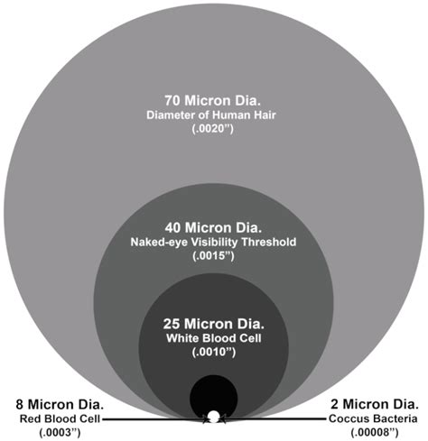 Mesh Vs Micron Royal Extract Machines
