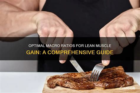 Optimal Macro Ratios For Lean Muscle Gain A Comprehensive Guide Cyvigor