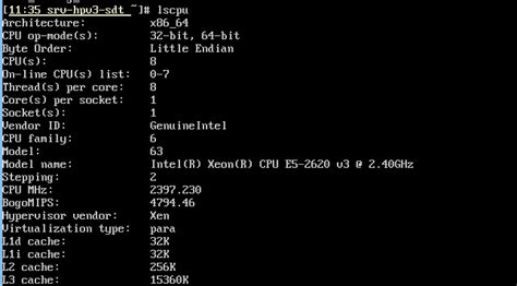 Best Pratctice Cpu Allocation For 4 Vms Xcp Ng And Xo Forum