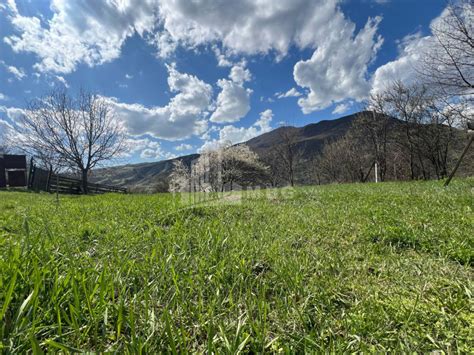 იყიდება მიწის ნაკვეთი აბასთუმანი ადიგენი სამცხე ჯავახეთი