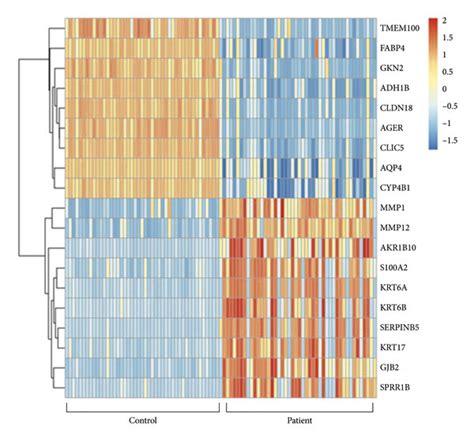 The Heatmap Plots Of The Top 10 Genes A Gse17681 B Gse18842 Download Scientific Diagram