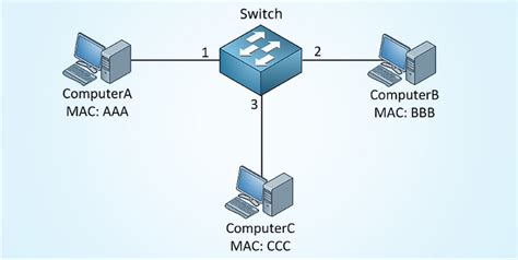 building a local area network lan with hubs and switches enablegeek