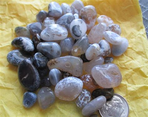 Polished Blue Oregon Beach Agates Etsy