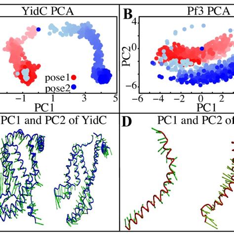 Inter Helical Angles Between Trans Membrane Helices Of Yidc In Both Download Scientific Diagram