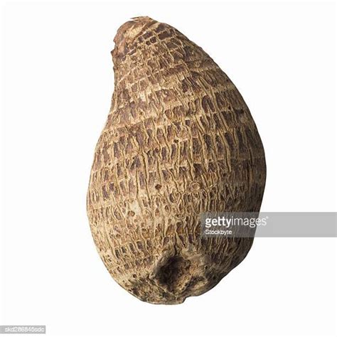 Eddo Photos And Premium High Res Pictures Getty Images