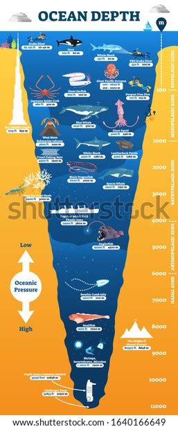 Ocean Depth Stock Vectors Images Vector Art Shutterstock