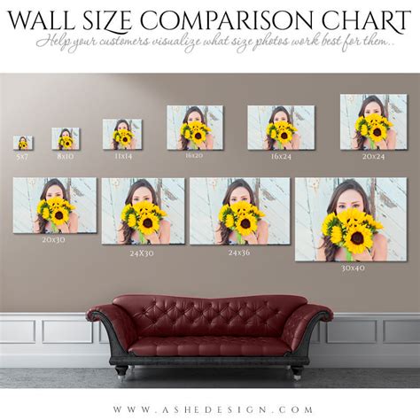 Size Comparison