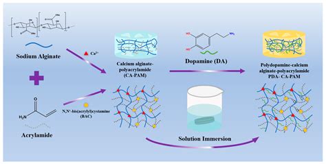 Mussel Inspired Calcium Alginatepolyacrylamide Dual Network Hydrogel A Physical Barrier To
