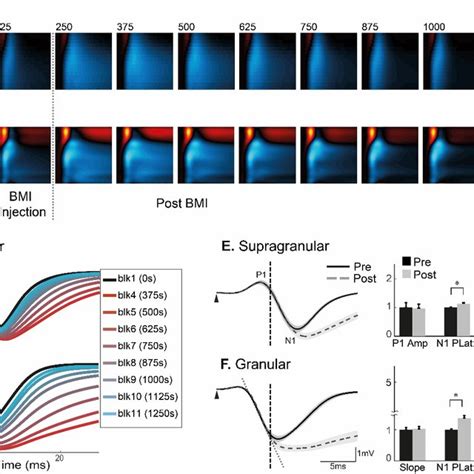 Bmi Effect On The Laminar Lfp And Csd Download Scientific Diagram