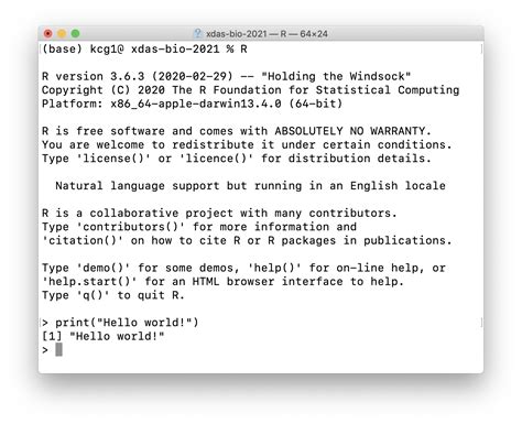 Interfacing With R Xdasi 2021