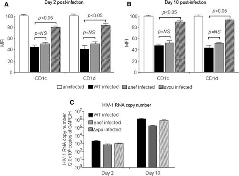 Vpu But Not Nef Plays A Role In Cd1c Cd1d Modulation Jurkat Cells