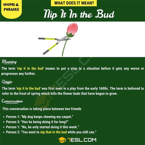 Nip It In The Bud Meaning Origin And Examples ESL