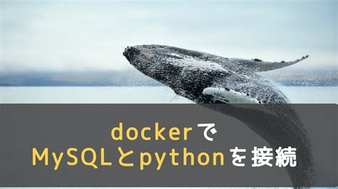 docker上で立てたMySQLとpythonの接続方法sequel Proの接続方法も解説 もんしょーBLOG