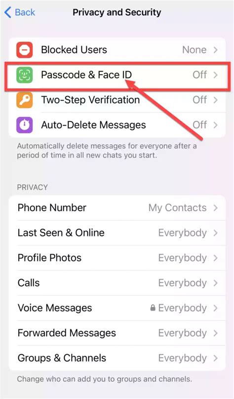 How To Lock Telegram With Face Id Or A Passcode On Iphone 14 13 12