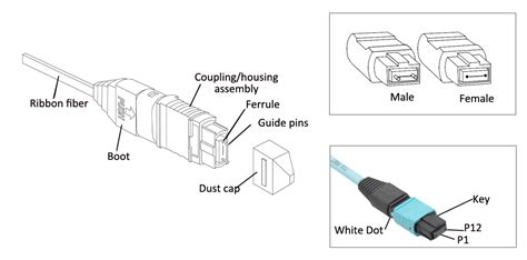 Understanding Mpo Mtp Polarity News Focc Fiber Co Ltd