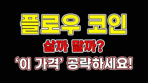 플로우코인 살까 말까 ‘이 가격 공략하세요 플로우코인 플로우코인전망 Youtube