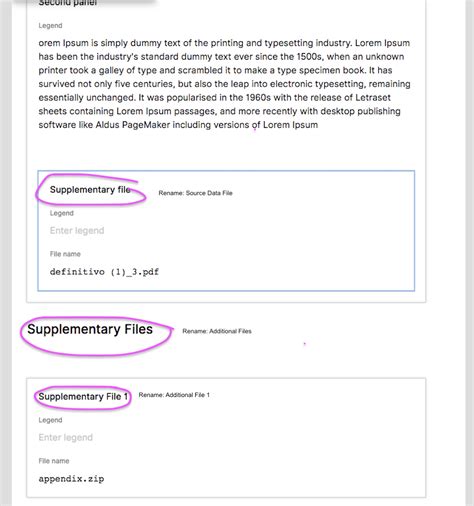 Rename Paper Level Supplementary Files To Additional Files · Issue 1145 · Substancetexture